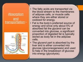 Metabolism of fat | PPTX