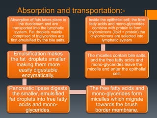 Metabolism of fat | PPTX