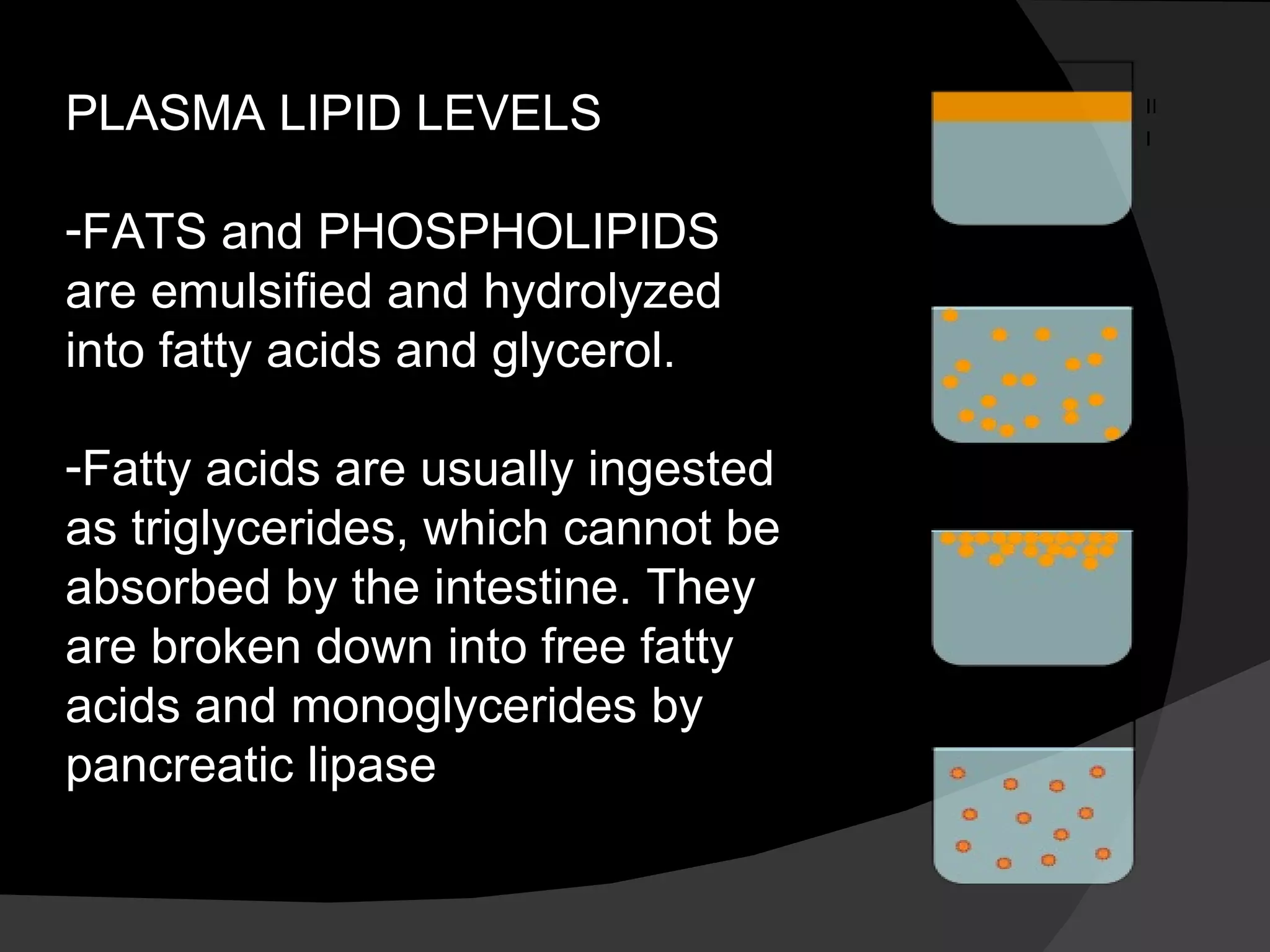 Metabolism of Fats | PPT