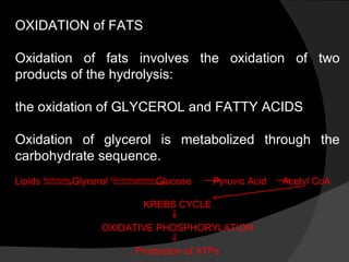 Metabolism of Fats | PPT