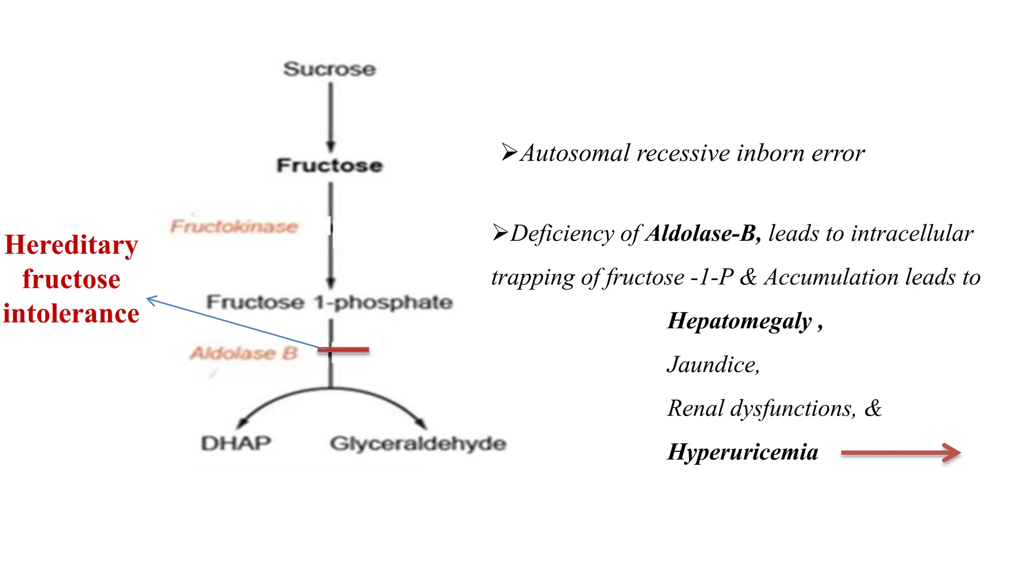 Metabolism of Galactose & fructose .pptx