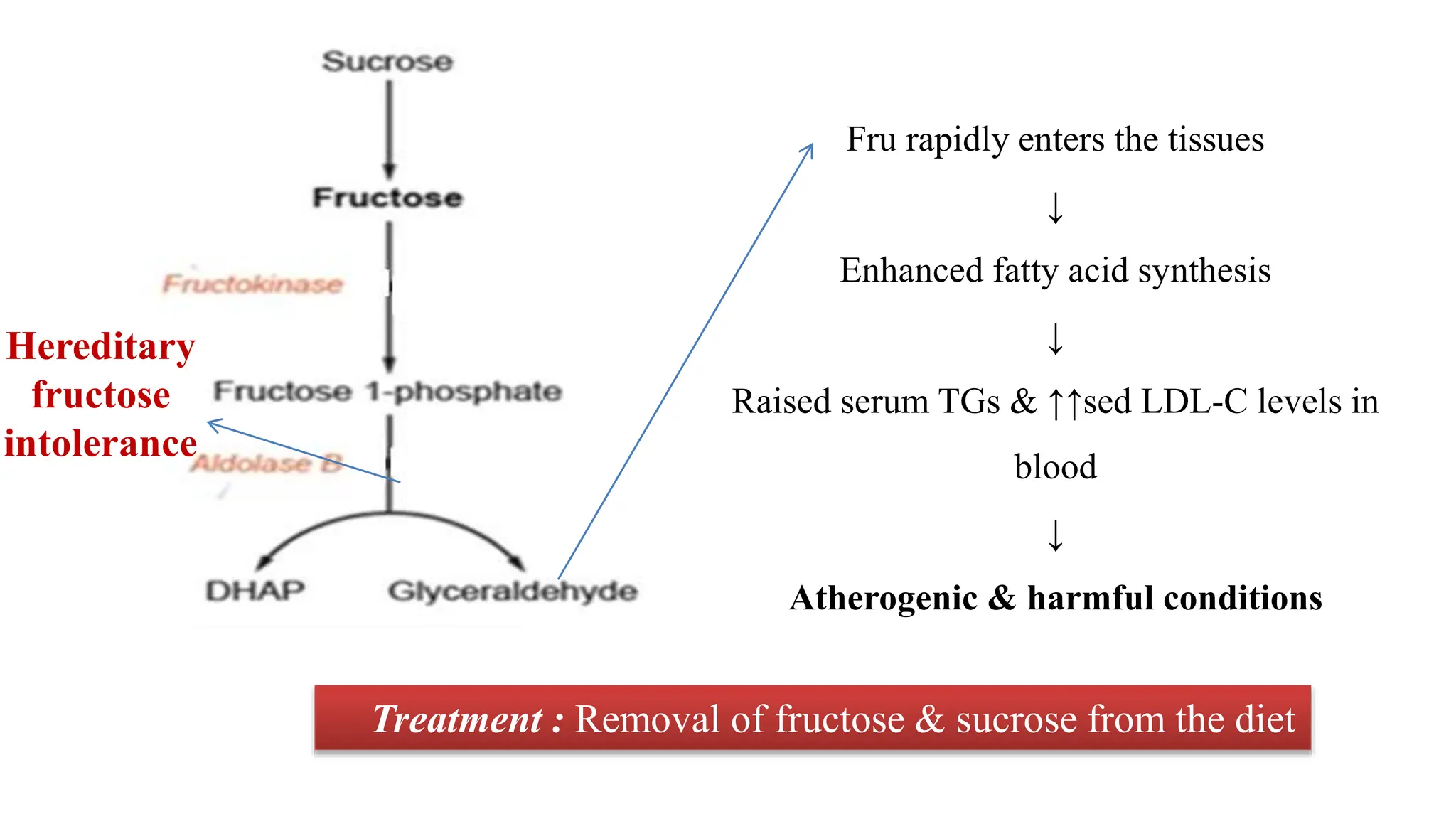 Metabolism of Galactose & fructose .pptx