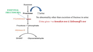 Metabolism of Galactose & fructose .pptx