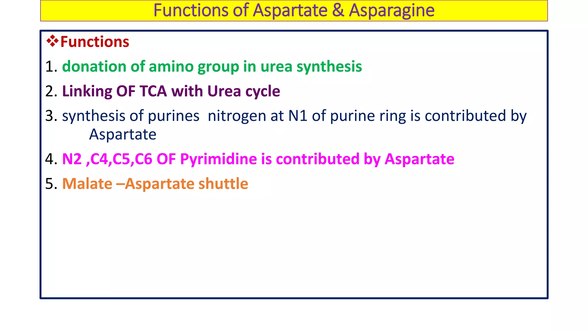 Metabolism of Glutamate ,Aspartate ,Glutamine &Asparagine | PDF
