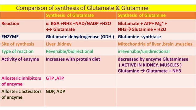 Metabolism Of Glutamate Aspartate Glutamine Andasparagine