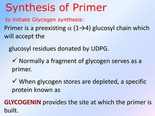 Metabolism of glycogen | PPSX
