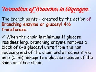 Metabolism of glycogen | PPSX