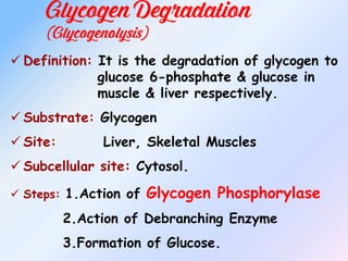 Metabolism of glycogen | PPSX