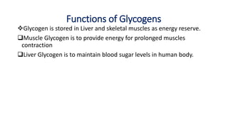 Metabolism of glycogen and its clinical significance final.pptx