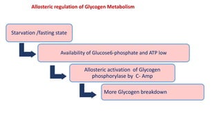Metabolism of glycogen and its clinical significance final.pptx