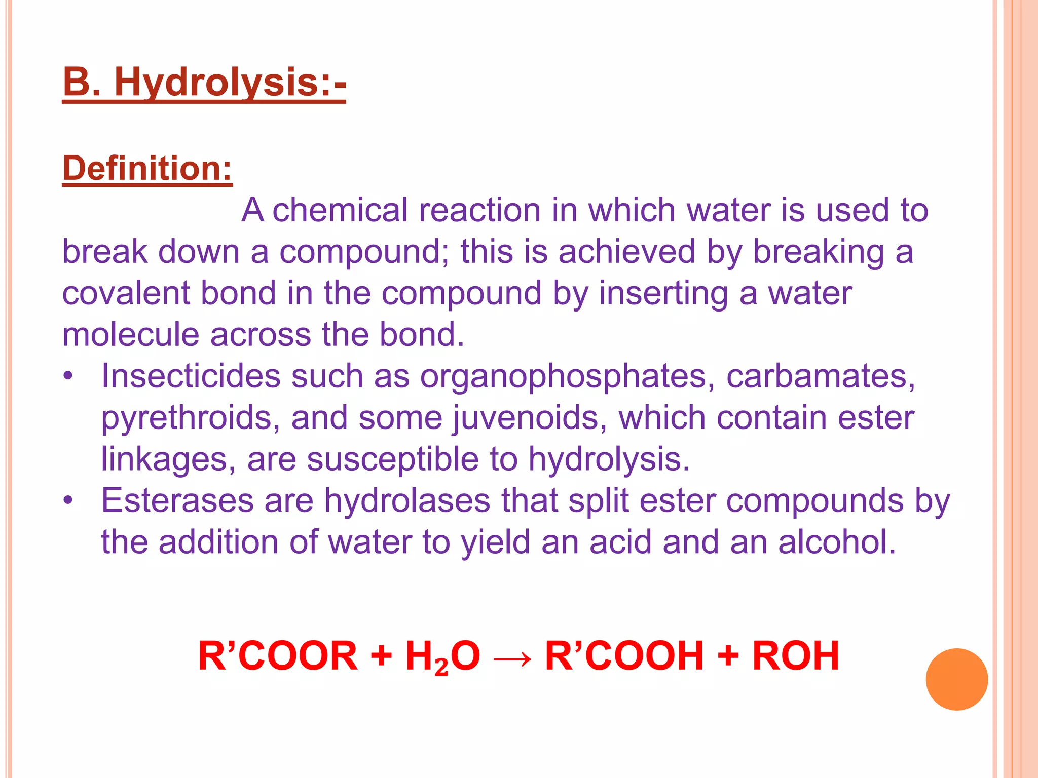 Metabolism of insecticides final by rushikesh kale | PPTX