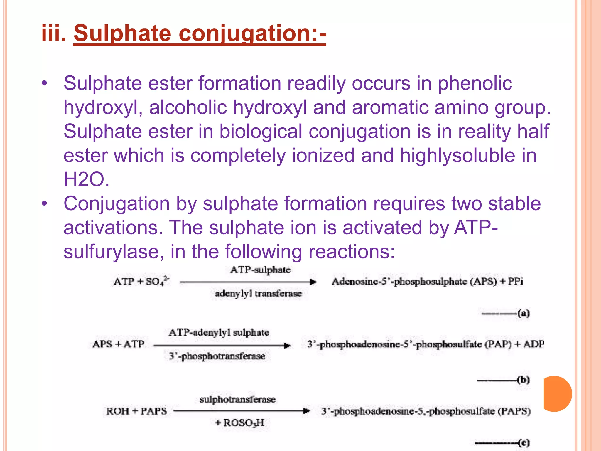 Metabolism of insecticides final by rushikesh kale | PPTX