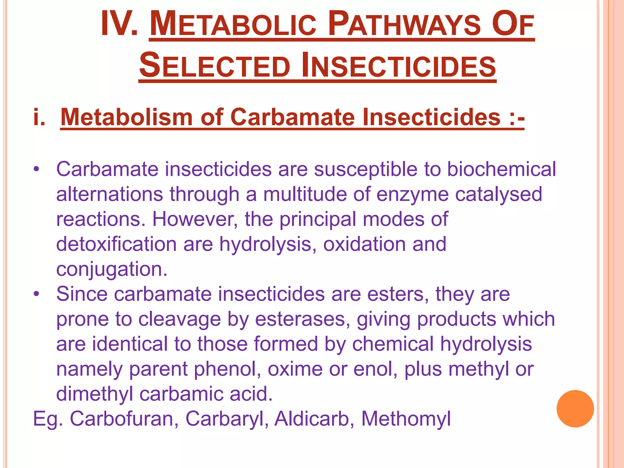 Metabolism of insecticides final by rushikesh kale | PPTX