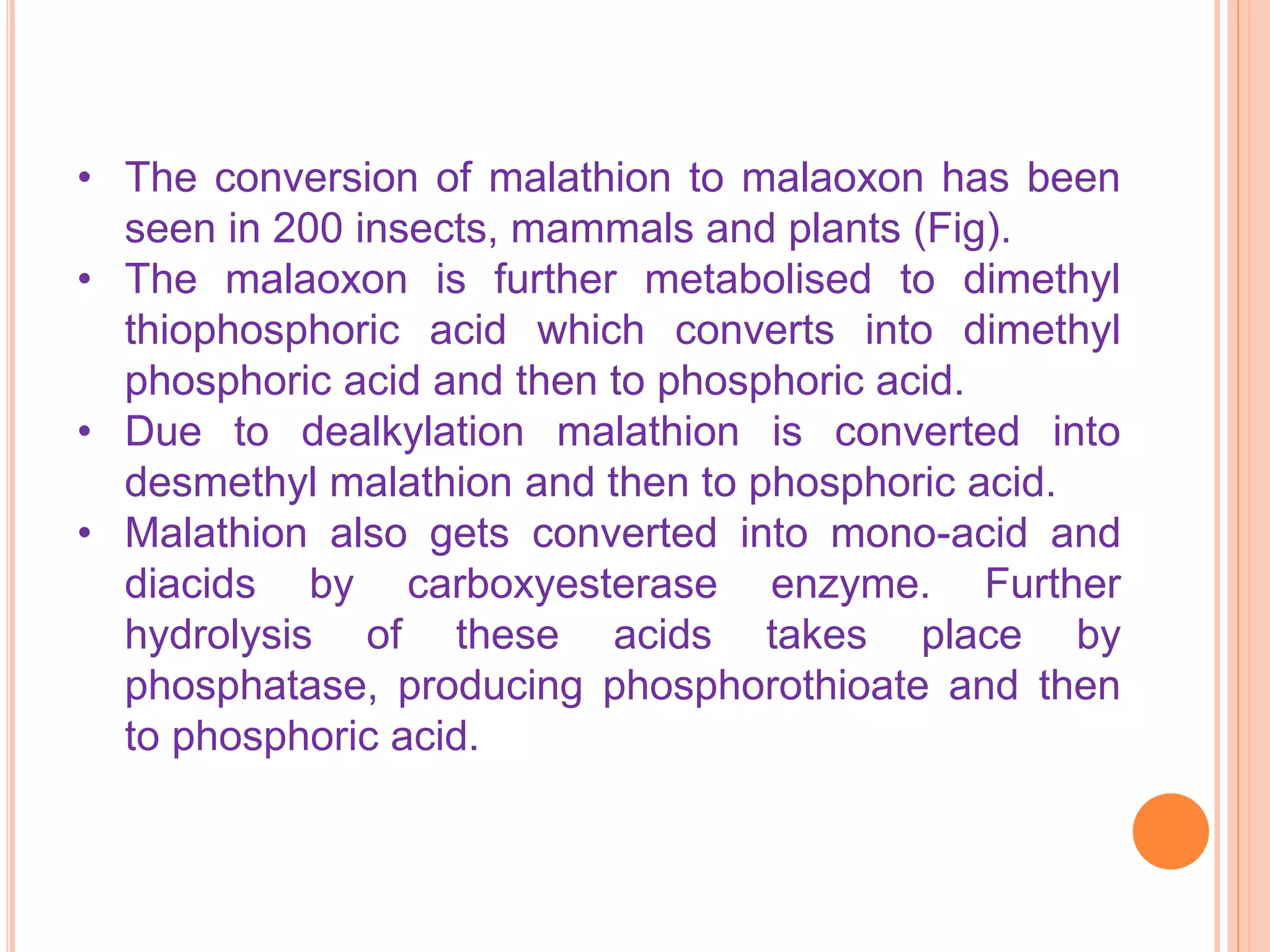 Metabolism of insecticides final by rushikesh kale | PPTX