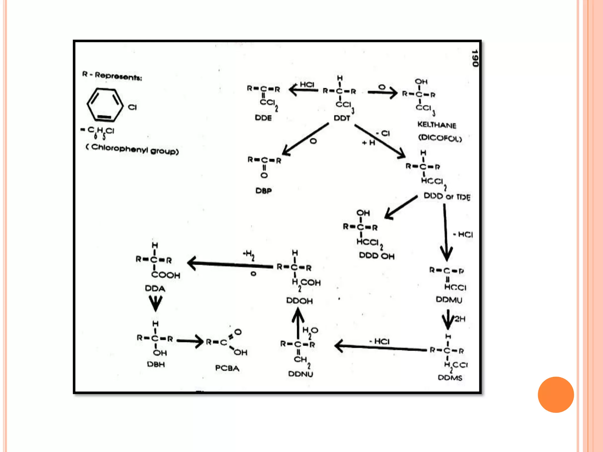 Metabolism of insecticides final by rushikesh kale | PPTX
