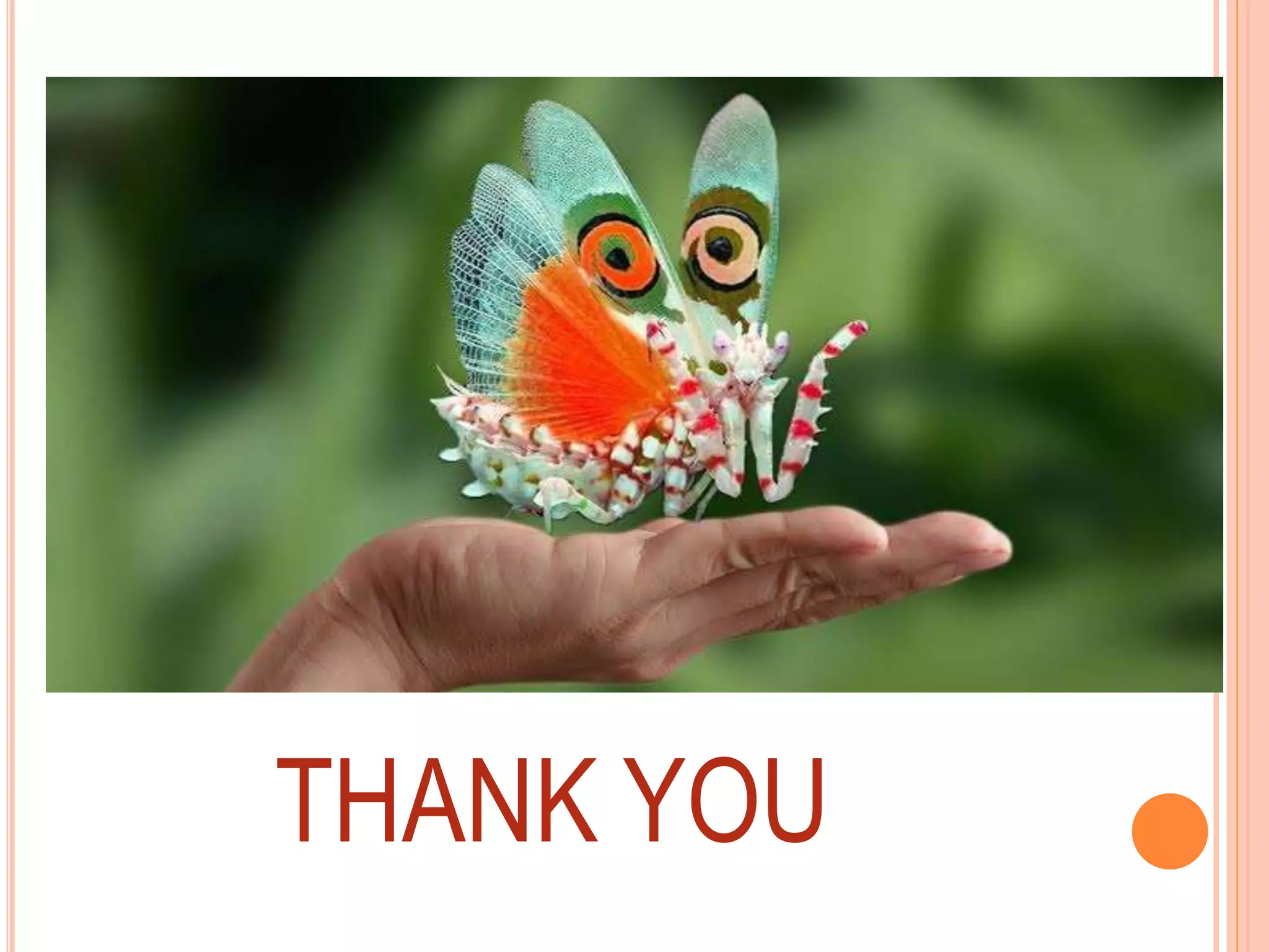 Metabolism of insecticides final by rushikesh kale | PPTX