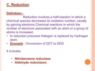 Metabolism of insecticides final by rushikesh kale | PPTX