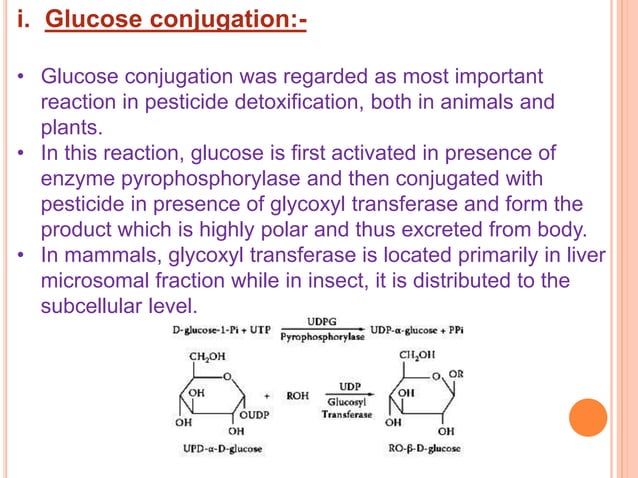 Metabolism of insecticides final by rushikesh kale | PPTX | Endocrine ...