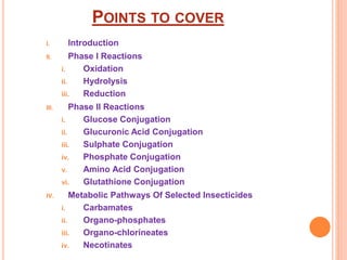 Metabolism of insecticides final by rushikesh kale | PPTX