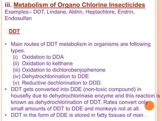 Metabolism of insecticides final by rushikesh kale | PPTX