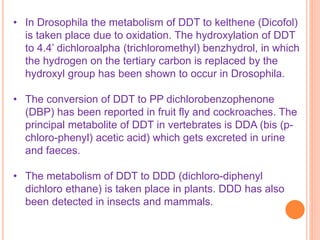 Metabolism of insecticides final by rushikesh kale | PPTX