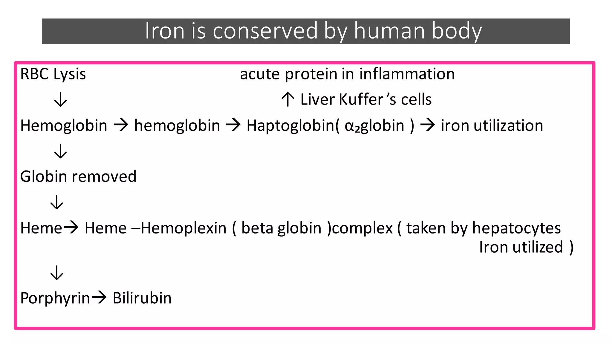 Metabolism of iron and its clinical significance | PDF