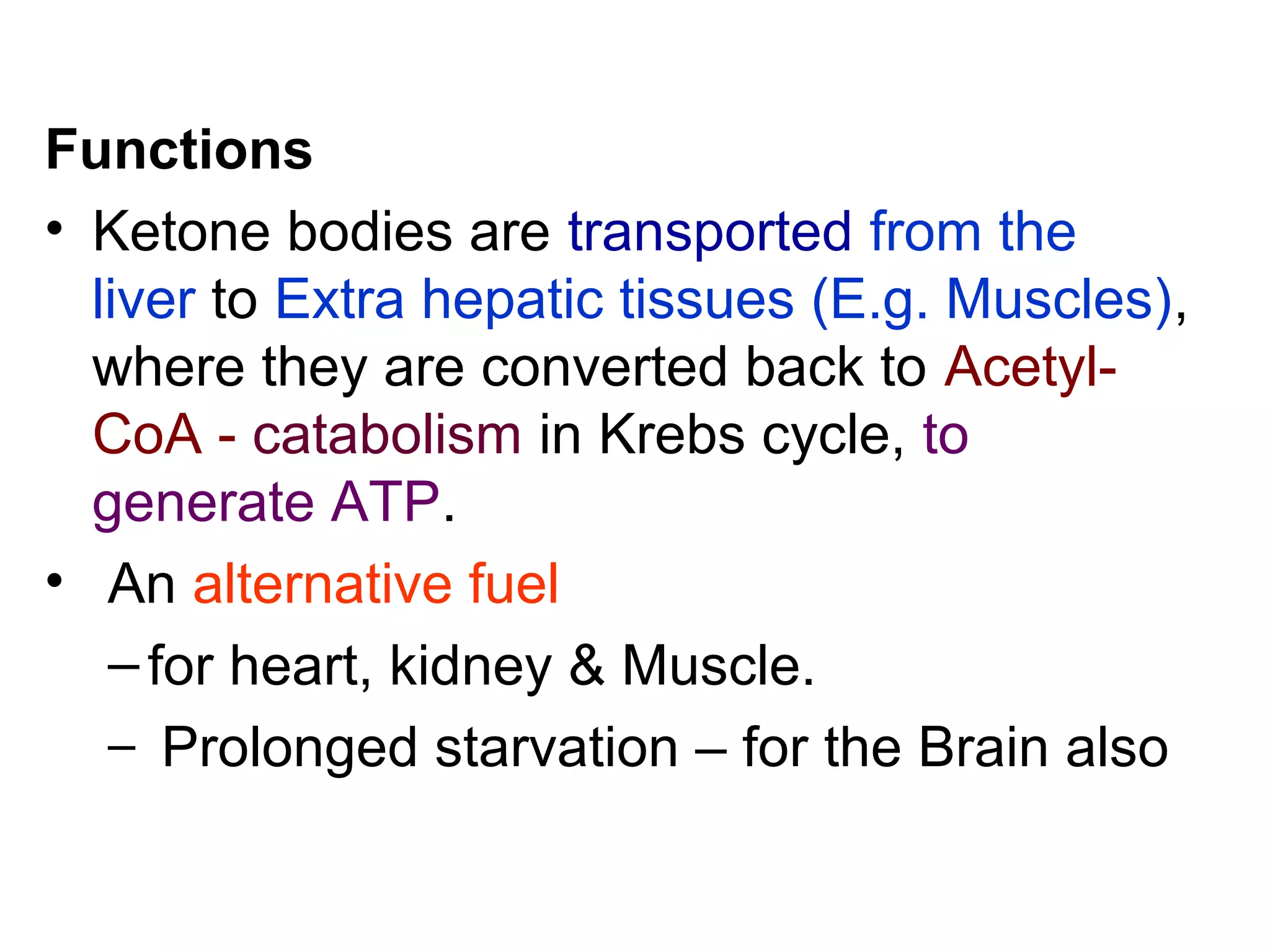 Metabolism of ketone bodies | PPT