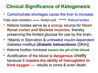 Metabolism of ketone bodies | PPT