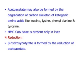 Metabolism of ketone bodies | PDF