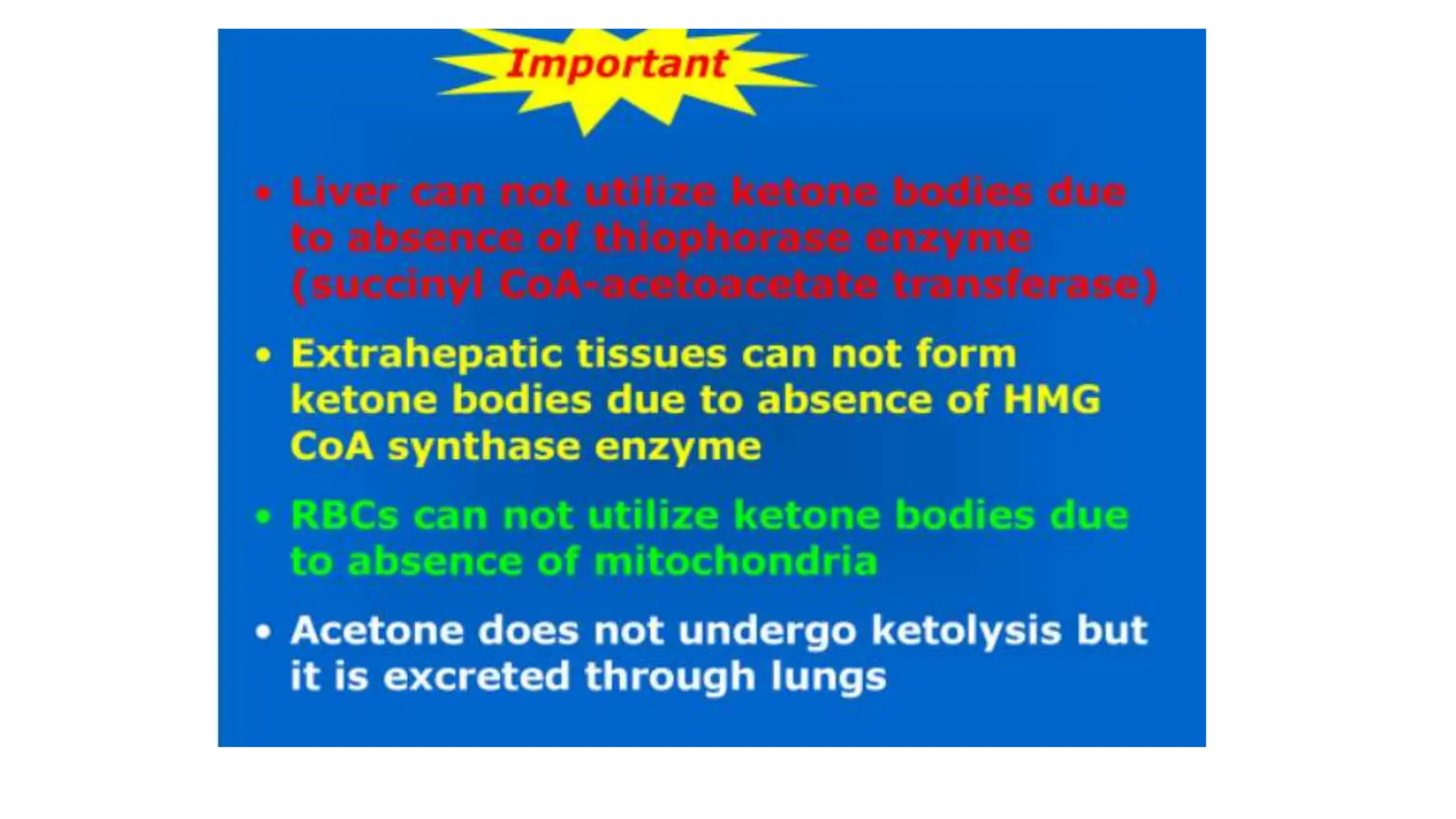 METABOLISM OF KETONE BODIES_BDS.pptx biochemistry | PPT