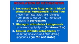 METABOLISM OF KETONE BODIES_BDS.pptx biochemistry | PPT