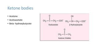 METABOLISM OF KETONE BODIES_BDS.pptx biochemistry | PPT