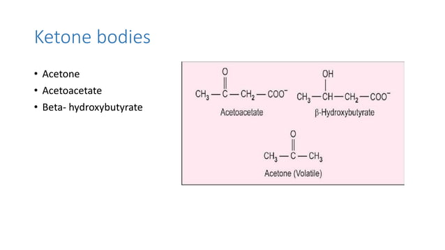 METABOLISM OF KETONE BODIES_BDS.pptx biochemistry | PPT