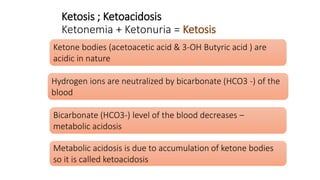 METABOLISM OF KETONE BODIES_BDS.pptx biochemistry | PPTX