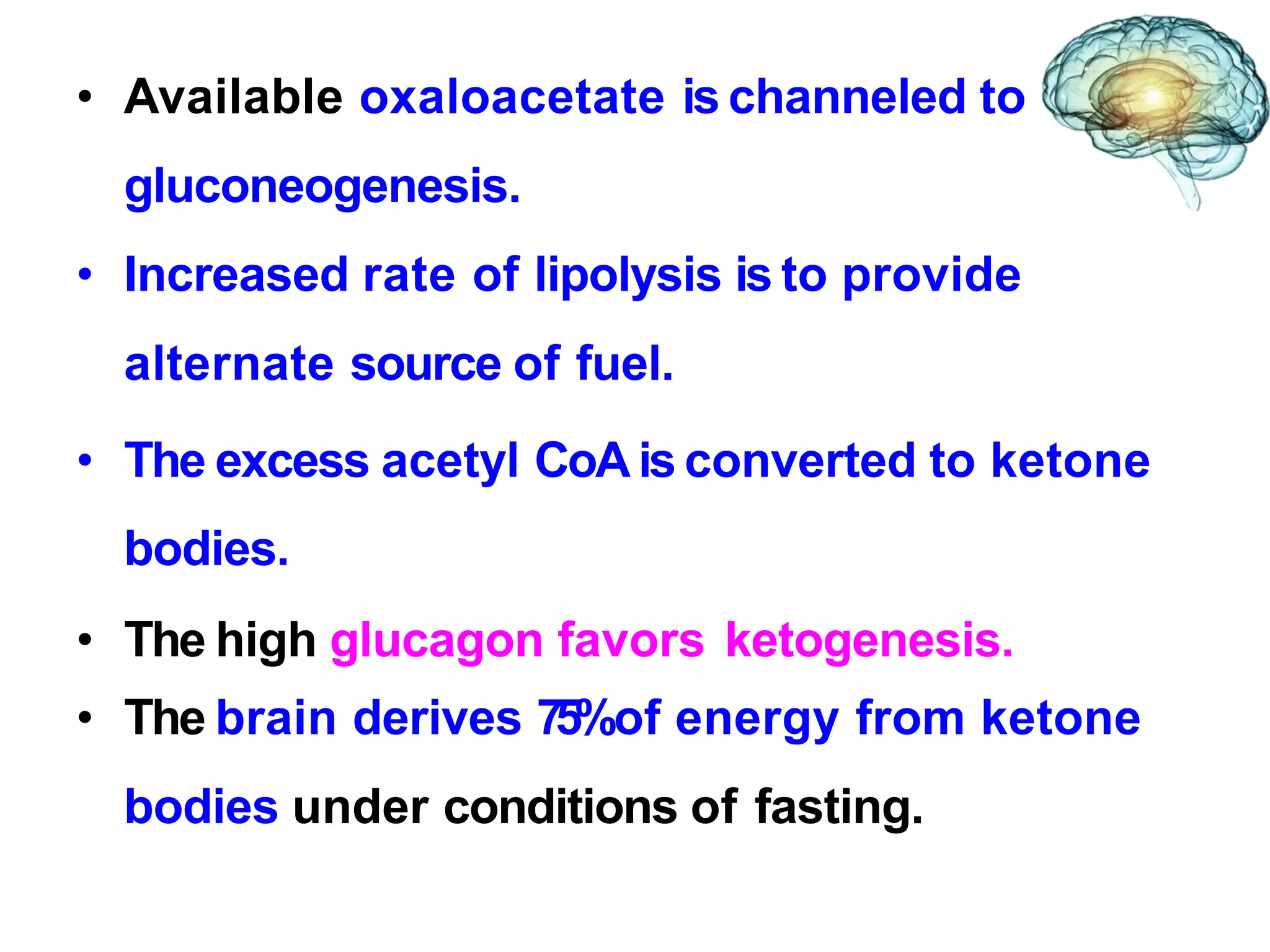 Metabolism of ketones | PPT