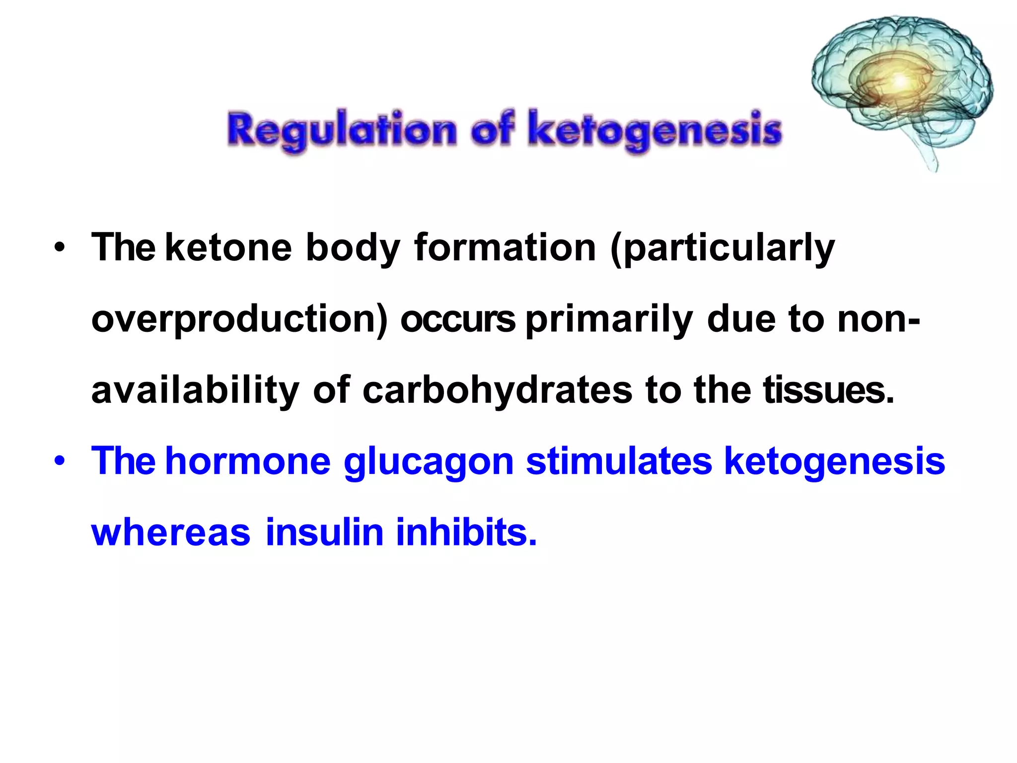 Metabolism of ketones | PPT