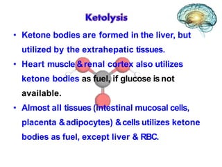 Metabolism of ketones | PPTX