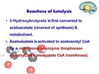Metabolism of ketones | PPTX