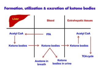 Metabolism of ketones | PPTX