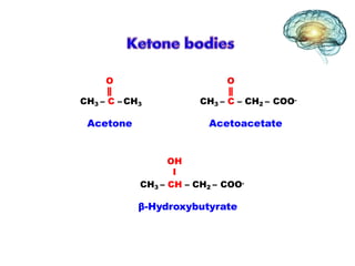 Metabolism of ketones | PPT