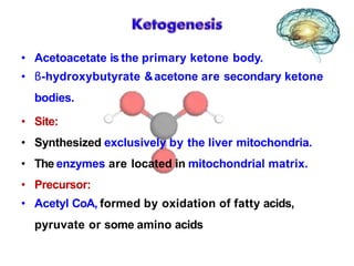 Metabolism of ketones | PPTX