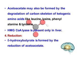 Metabolism of ketones | PPTX