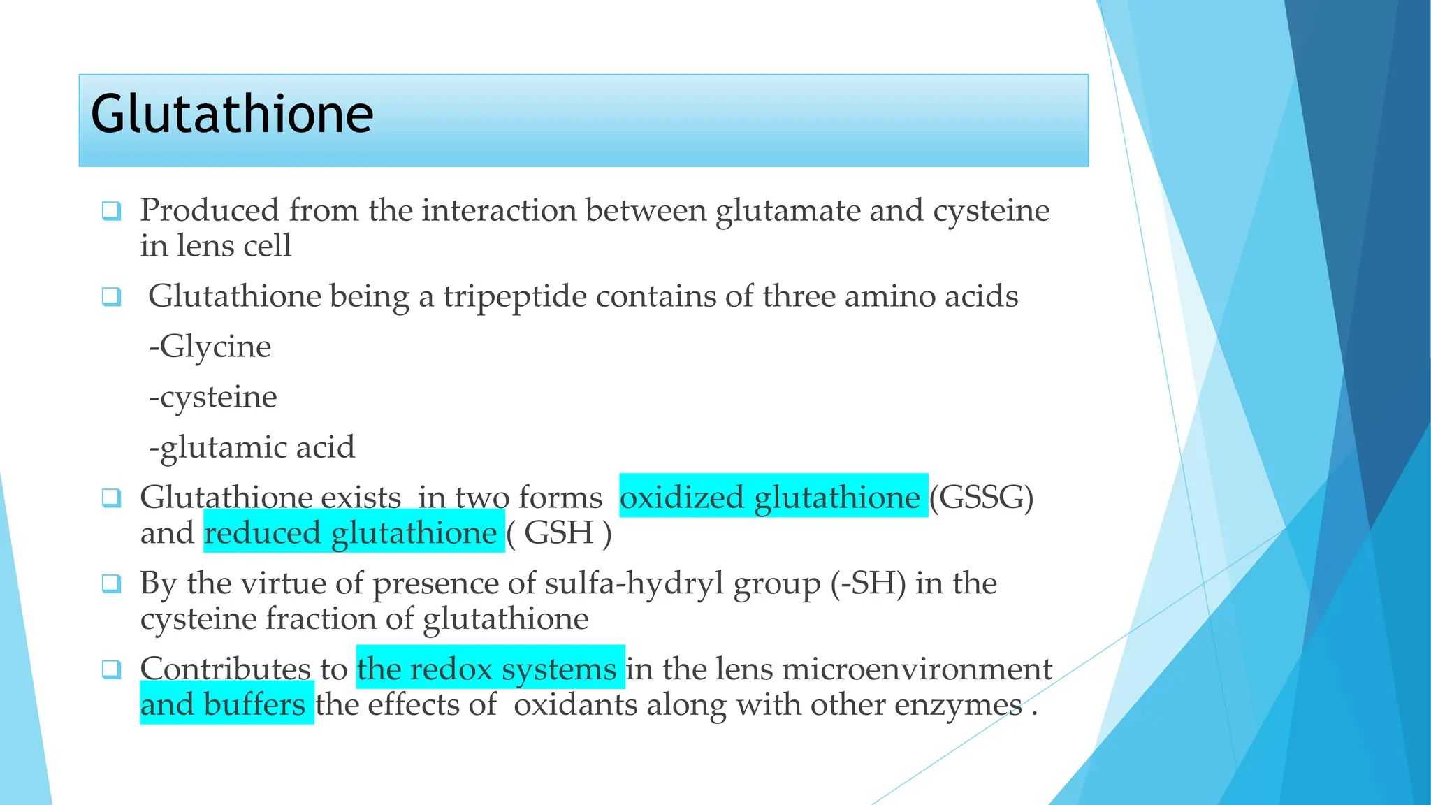 METABOLISM OF LENS of human eye. Ophthalmology | PPTX