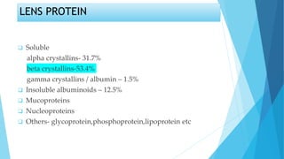 METABOLISM OF LENS of human eye. Ophthalmology | PPTX