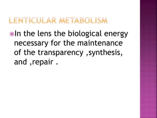 Metabolism of human lens .pptx
