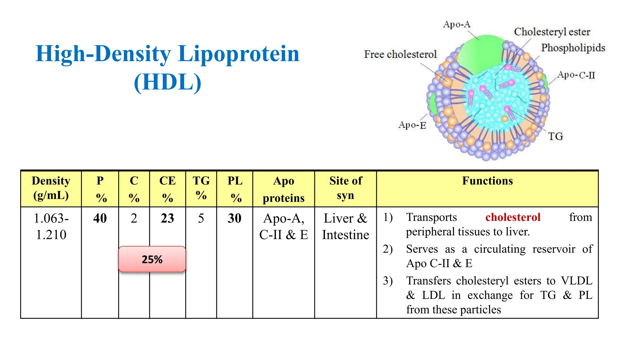 Metabolism of lipoproteins & its disorders(Chylomicron & VLDL & LDL).pptx