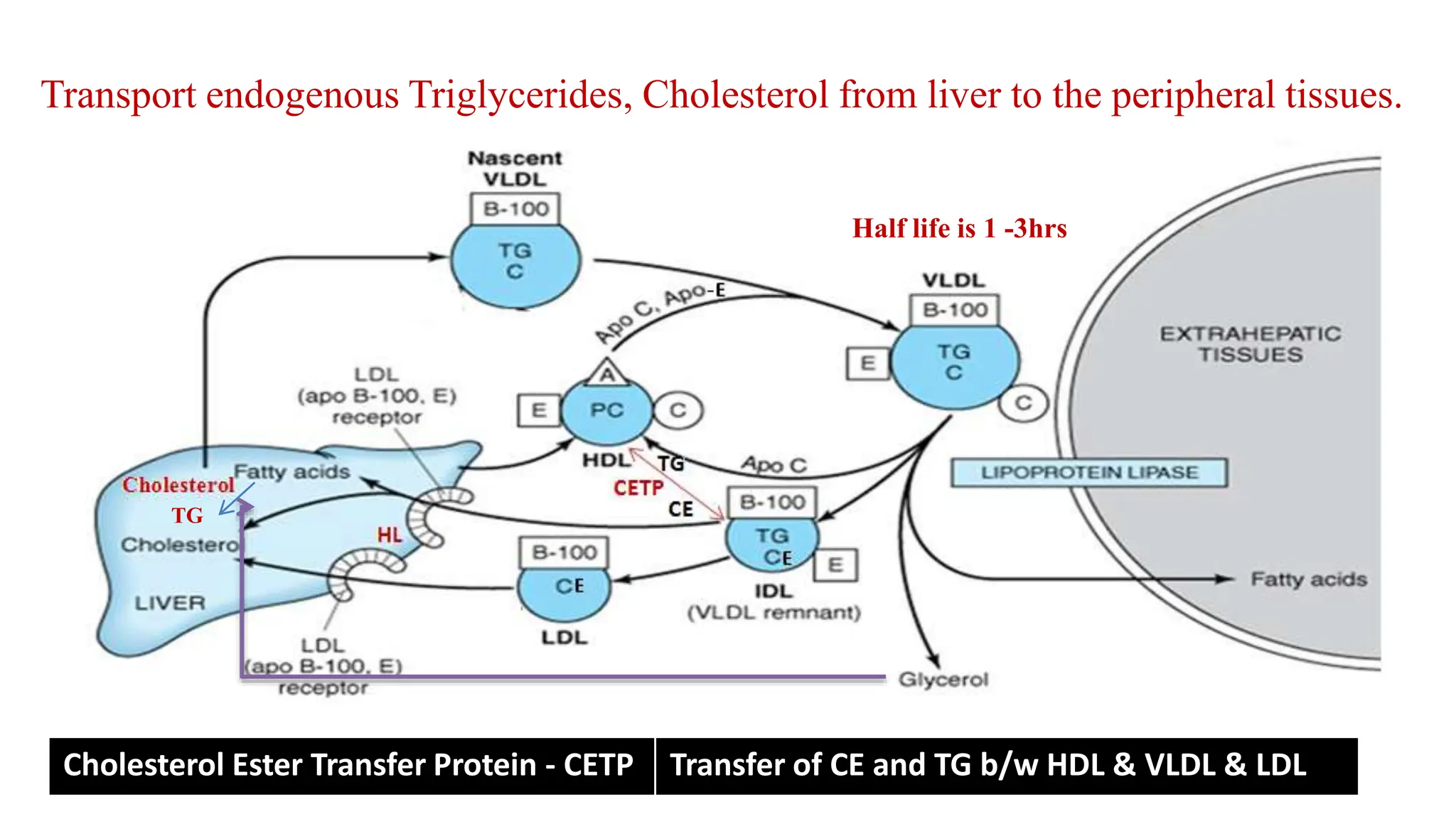 Metabolism of lipoproteins & its disorders(Chylomicron & VLDL & LDL).pptx