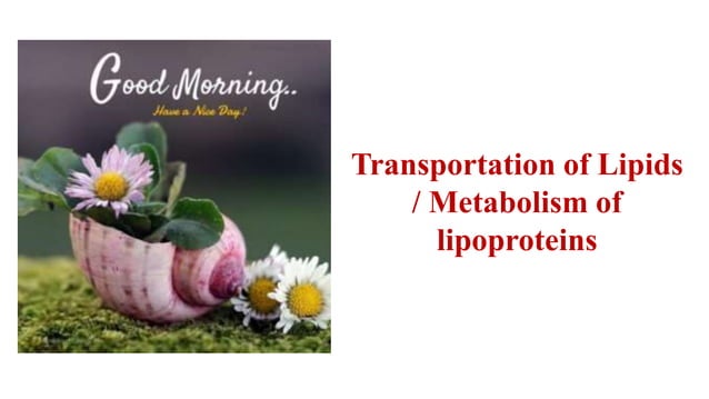 Metabolism of lipoproteins & its disorders(Chylomicron & VLDL & LDL).pptx