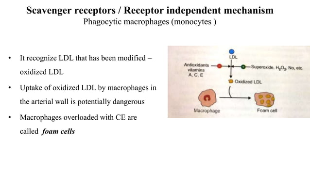 Metabolism of lipoproteins & its disorders(Chylomicron & VLDL & LDL).pptx