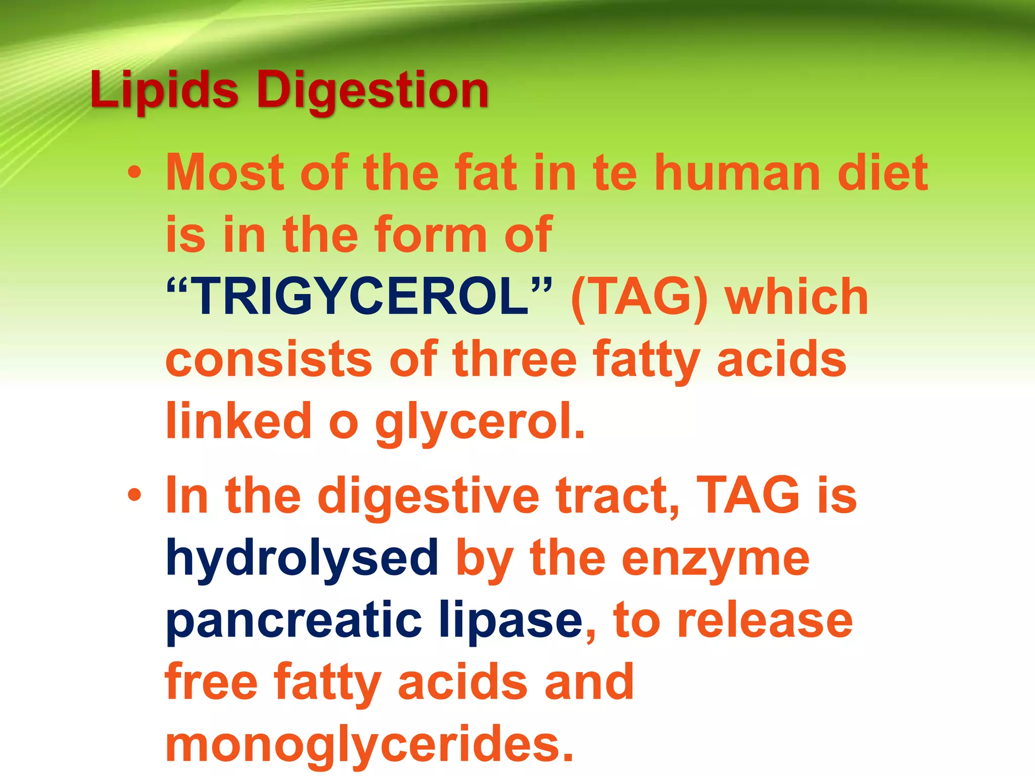 Metabolism of lipid | PPTX